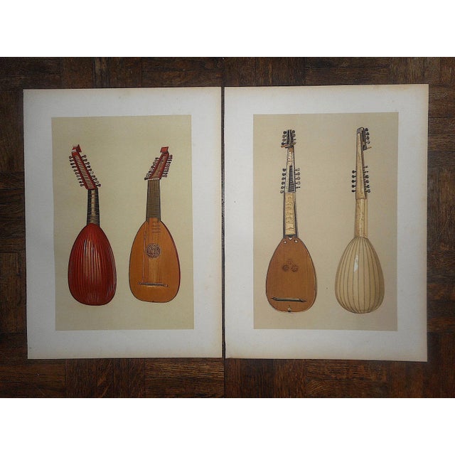 Antique Ltd. Ed. Lithographs-Musical String Instruments: Lute & Theorbo ...