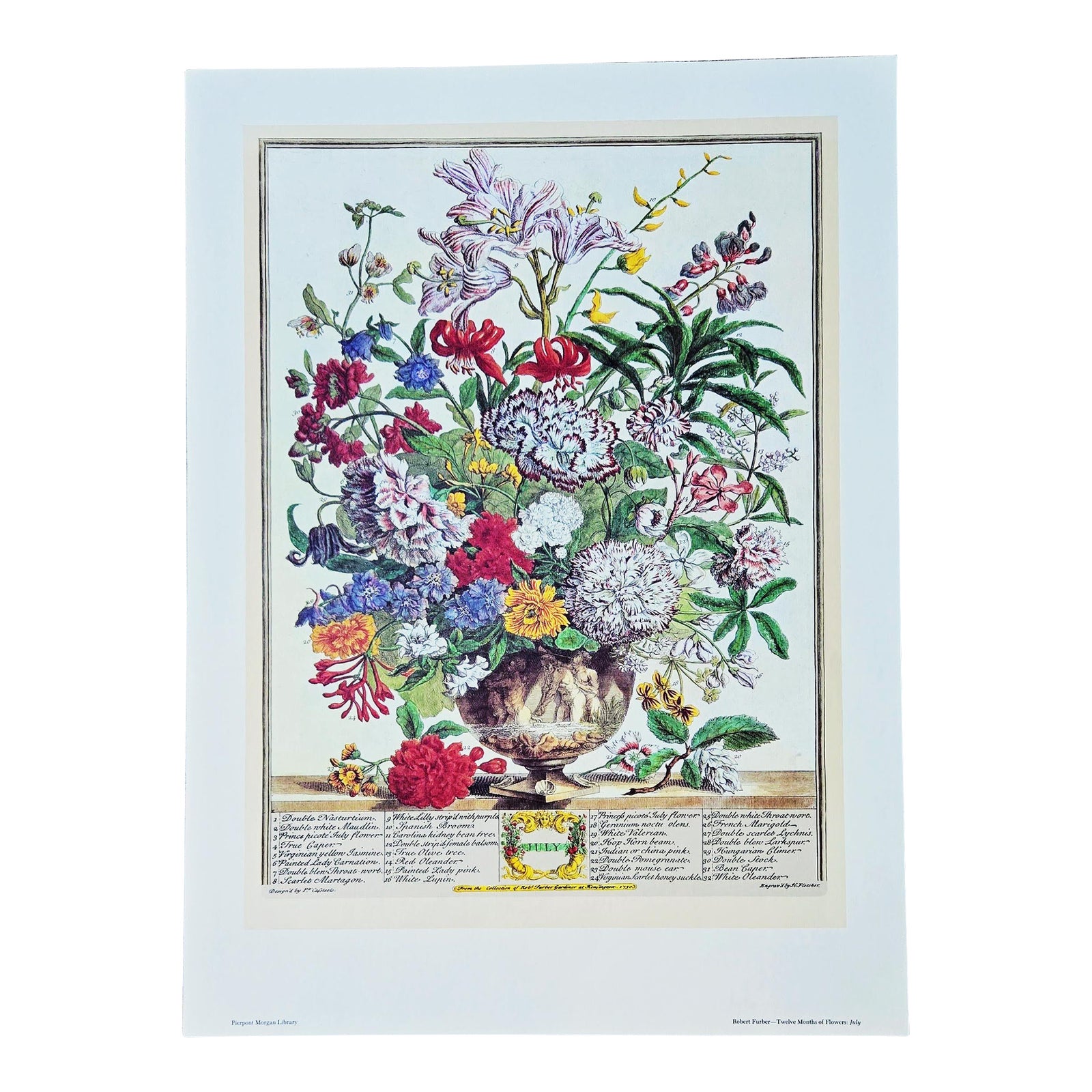 1980s Vintage Robert Furber July Botanical From "Twelve Months of ...