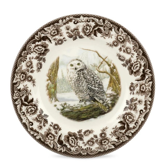 Spode Woodland Birds Of Prey Salad Plate 8", Owl | Chairish