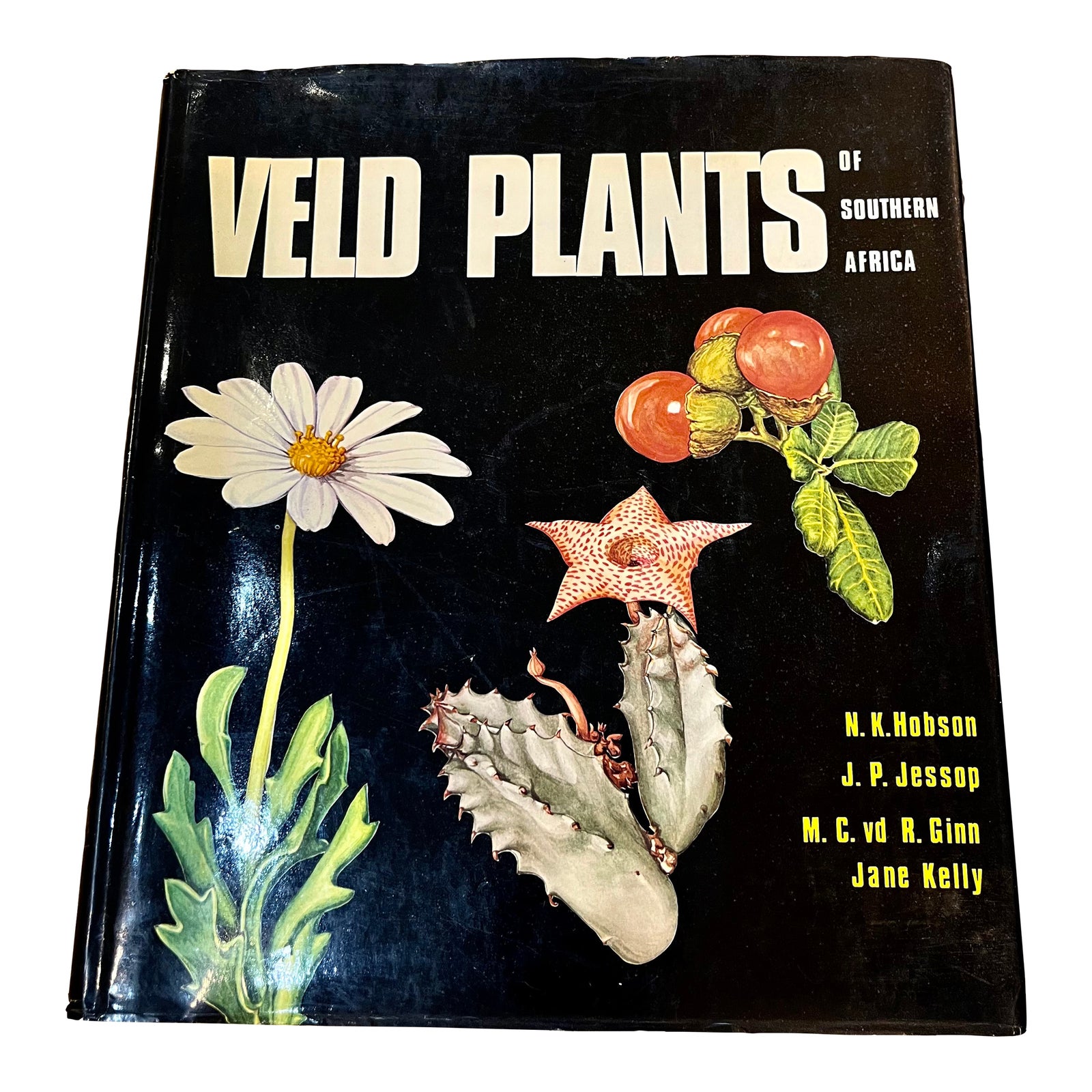 1970s Hardback Book Veld Plants of South Africa Botanical Prints | Chairish