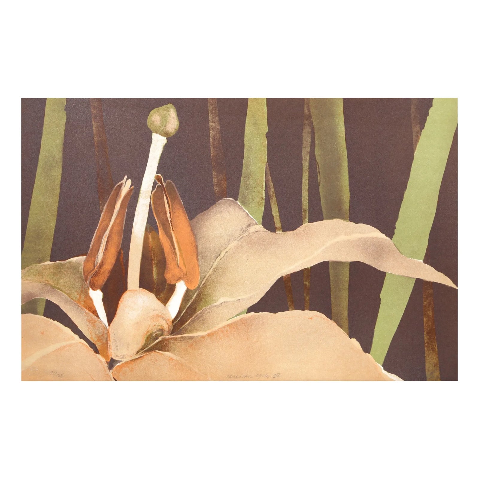 Deborah Kogan Ray "Canadian Cycle III" Lithograph | Chairish