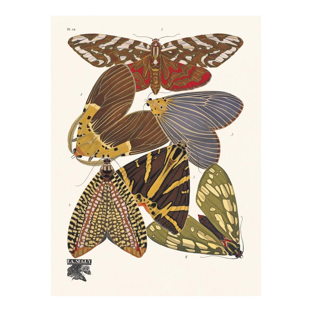 Papillons (Butterflies) by Emile-Allain Seguy - Giclee Reproduction Art ...