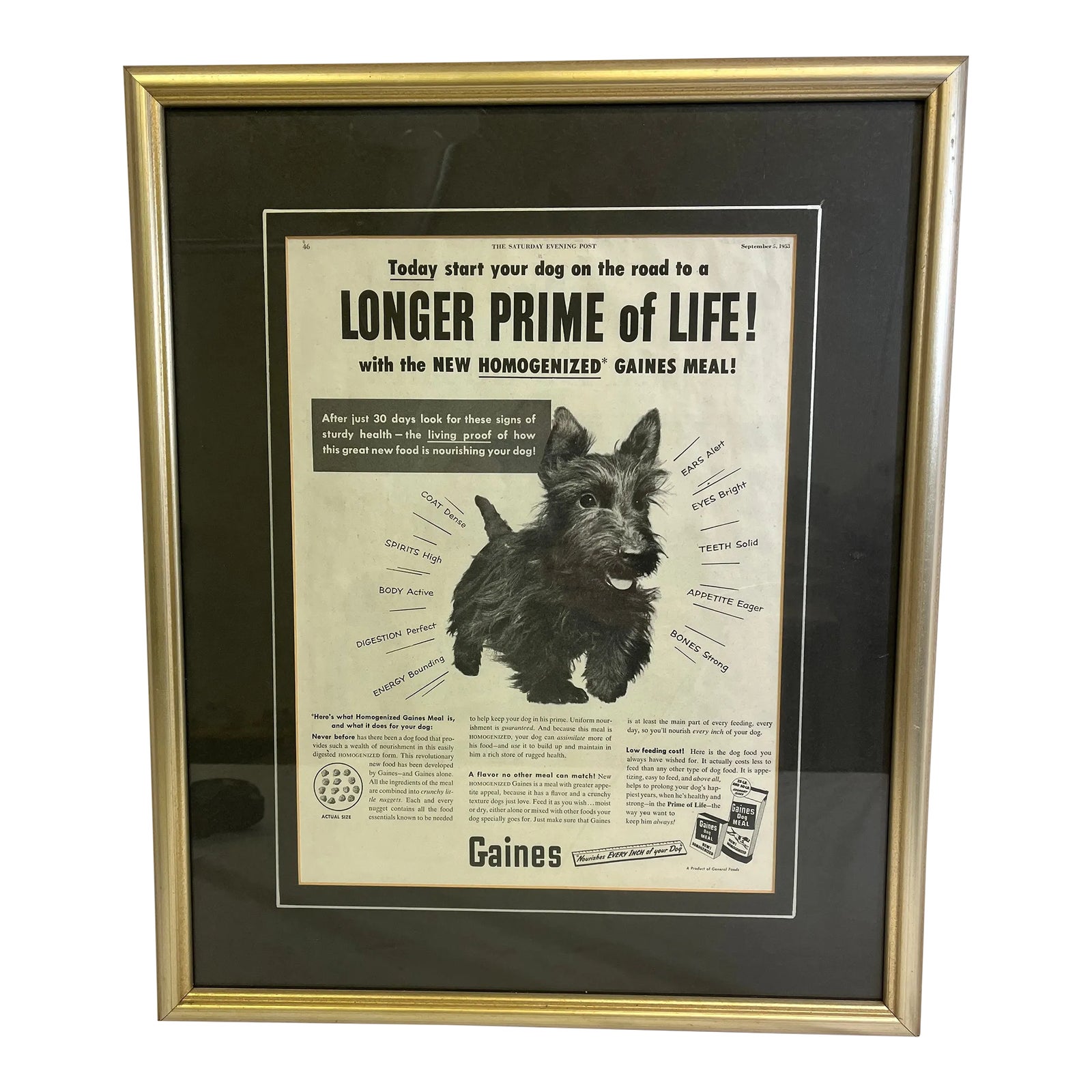 Vintage Framed Gaines Dog Food Advertisement From the Saturday Evening ...