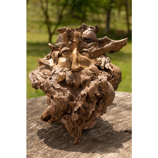 TreeBeard - Unique Driftwood Artwork Sculpture | Chairish