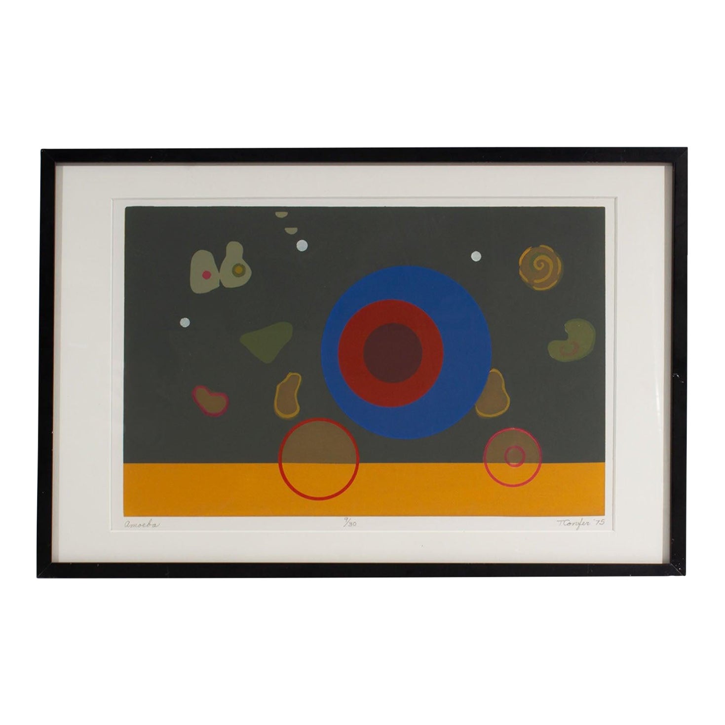 1975 “Amoeba” Limited Edition Abstract Serigraph Print Signed by Thelma ...