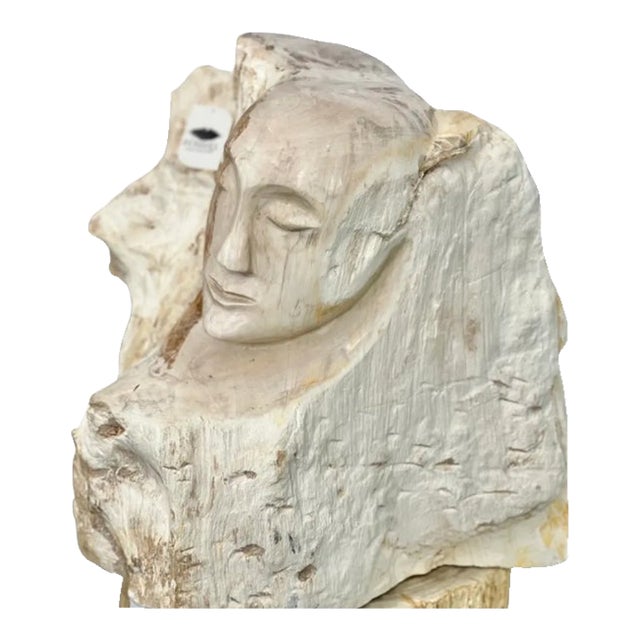 Early 21st Century Petrified Wood Face Sculpture | Chairish