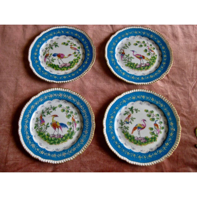 Antique Dresden Bird Decorative Plates- Set of 4 | Chairish