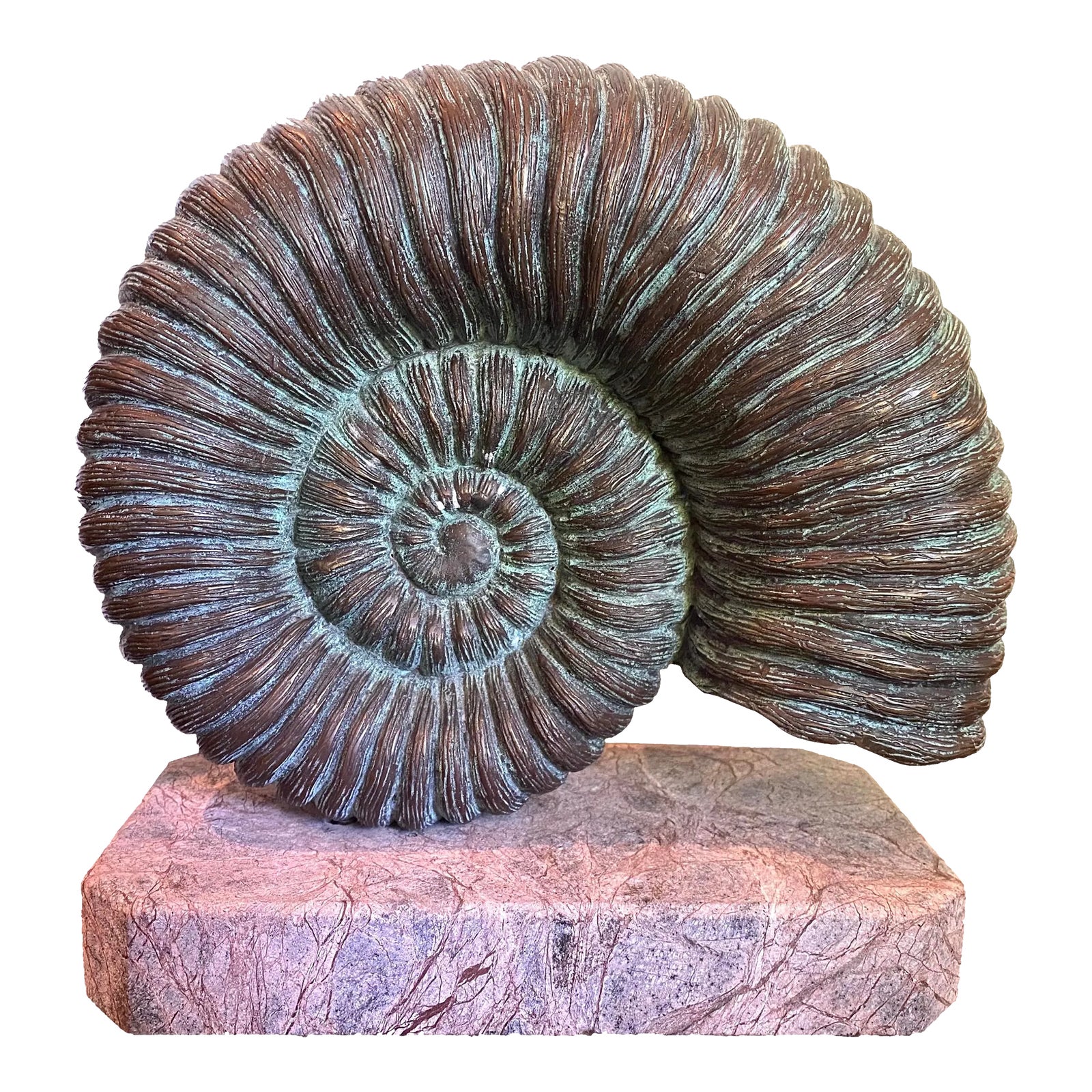 Mid 20th Century Bronze Ammonite on Marble Base | Chairish