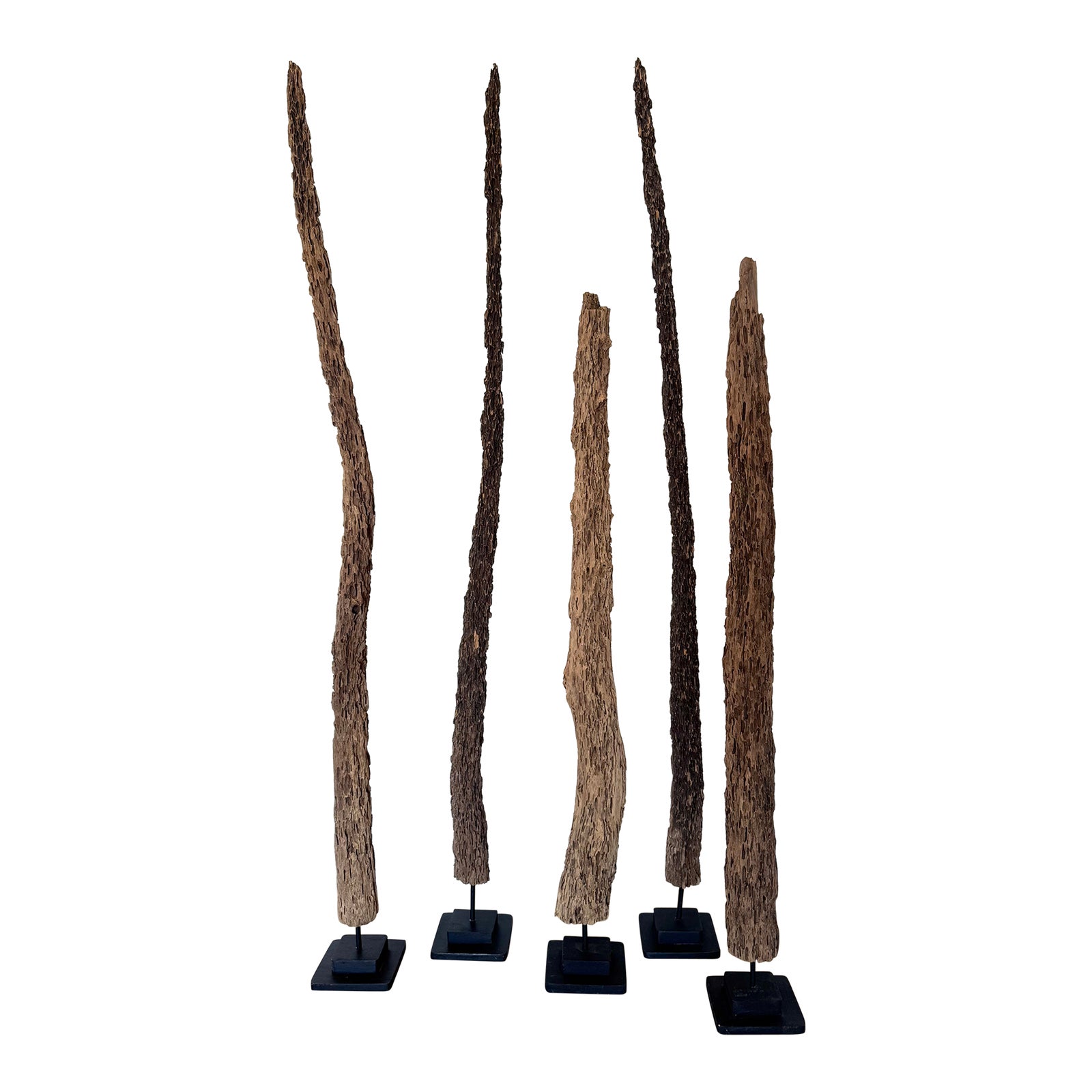 Early 20th Century Grouping of French Eroded Wood Mussel Oyster Poles ...