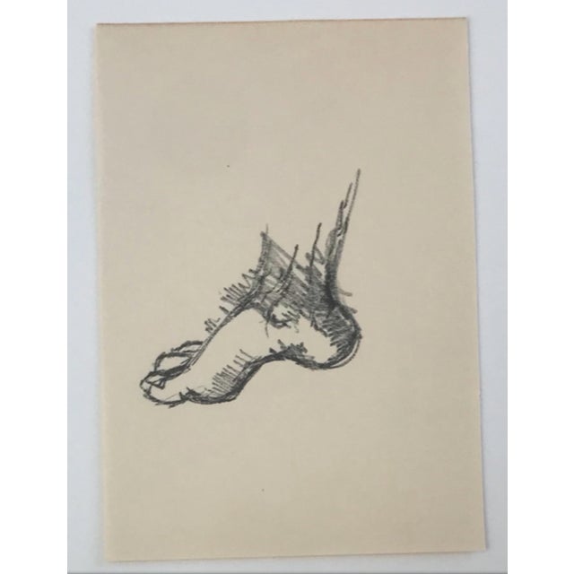 1960s Anatomical Study of Foot Drawing | Chairish