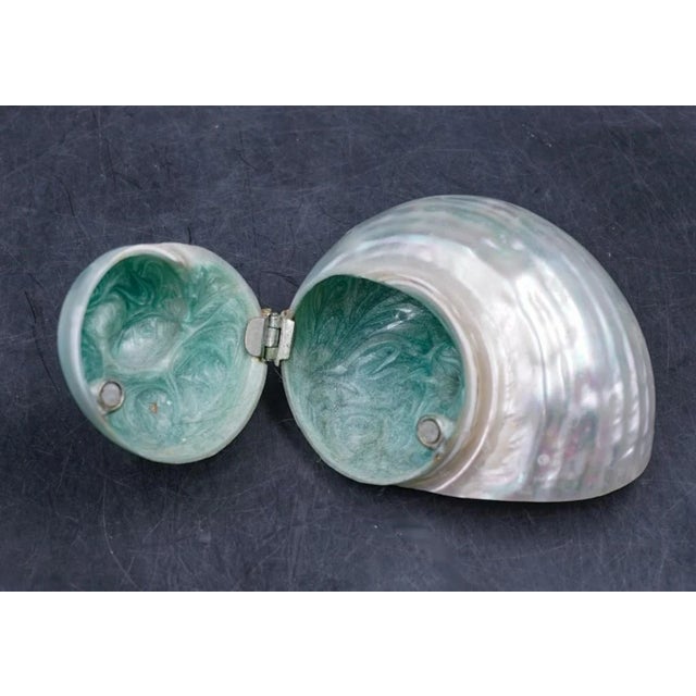 Vintage Polished Shell Box | Chairish