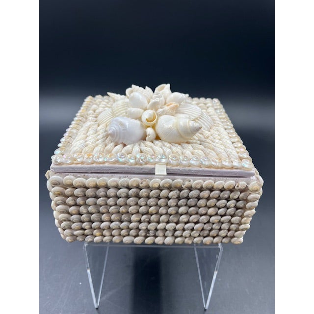 Mid 20th Century Seashell Covered Trinket/Jewel Box With Lid | Chairish