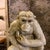 Late 20th Century Vintage Plaster Monkey Statue | Chairish