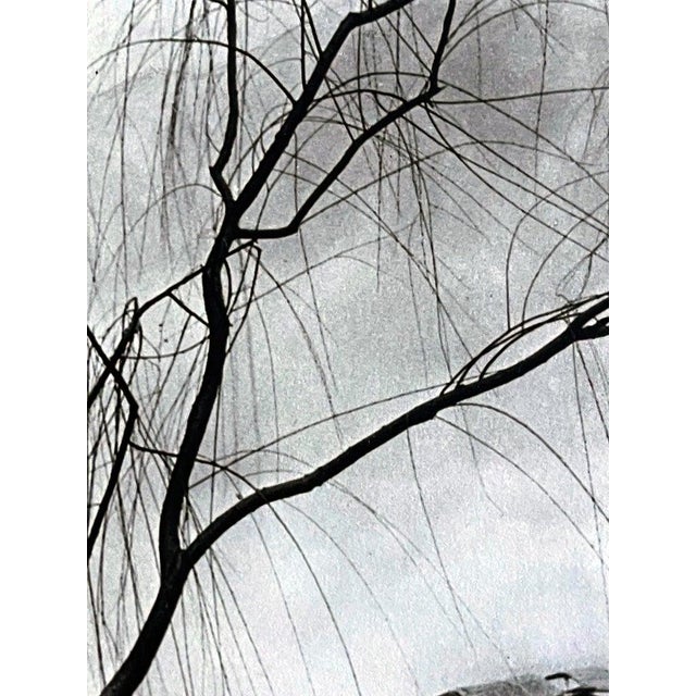 Mid 20th Century Framed Photograph Spring Fantasia by Chin San Long ...
