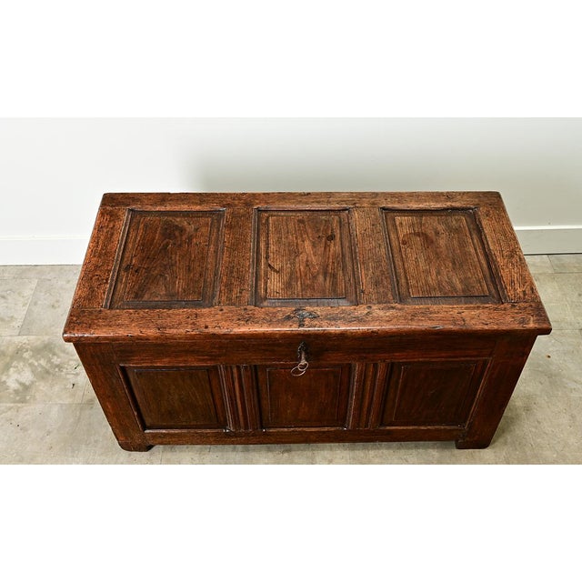French Carved Oak Paneled Trunk | Chairish