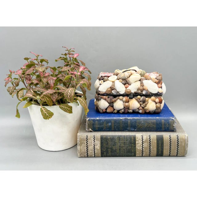 Vintage Nautical Seashell Encrusted Shell Box | Chairish