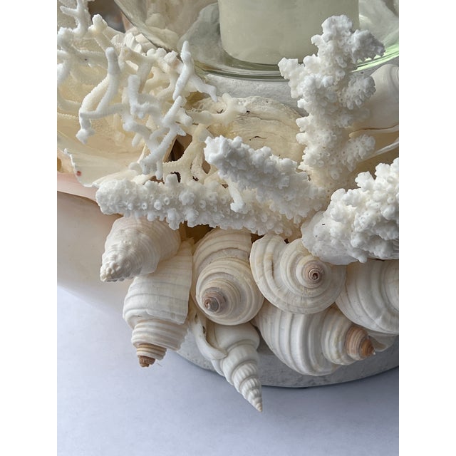 Christa’s South Seashells Custom Shell Hurricanes - a Pair | Chairish