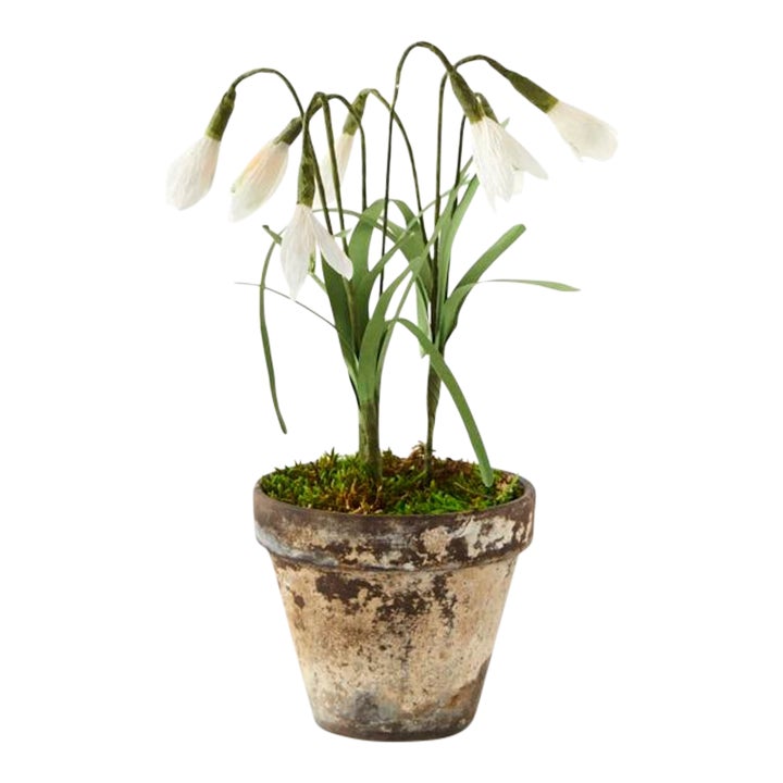 Potted Paper Snowdrops | Chairish