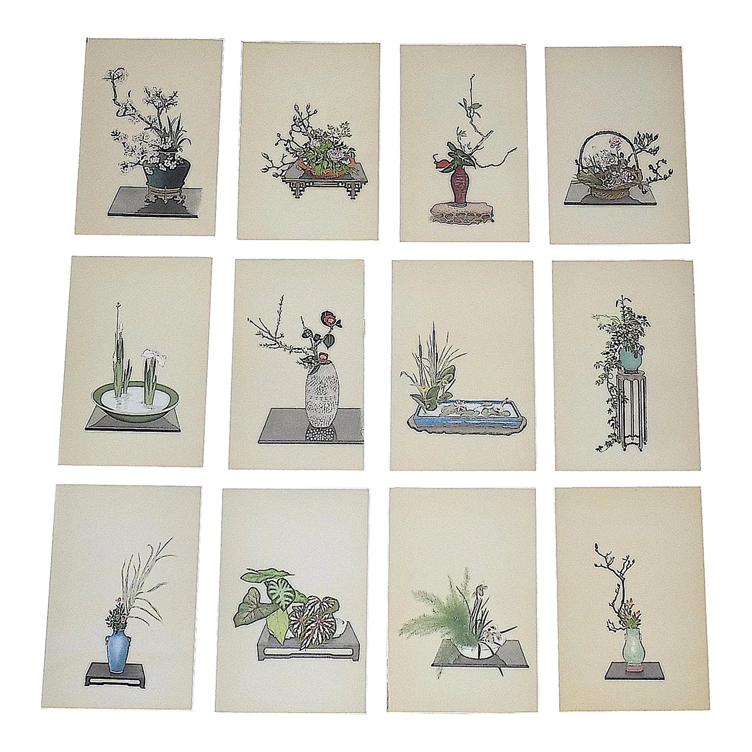 Vintage 1935 Japanese Flower Arrangement Lithographs - Set of 12 | Chairish