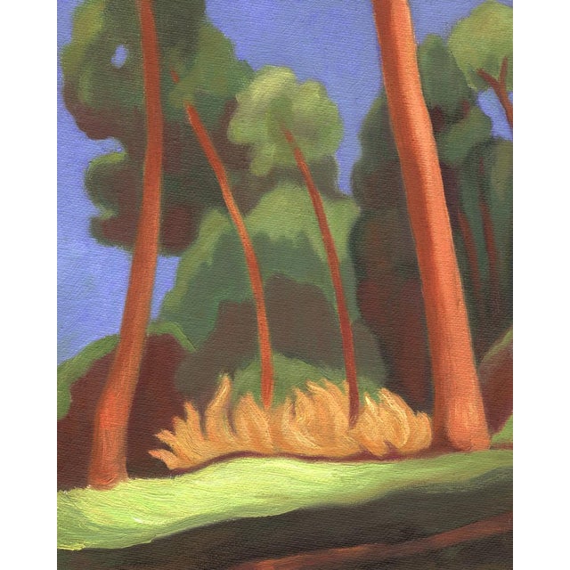 Wildcat Canyon Park in Northern California by Linda Ruiz Lozito | Chairish