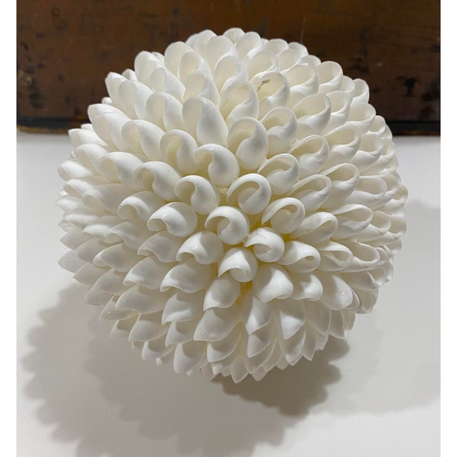 Vintage White Sea Shell Ball | Chairish
