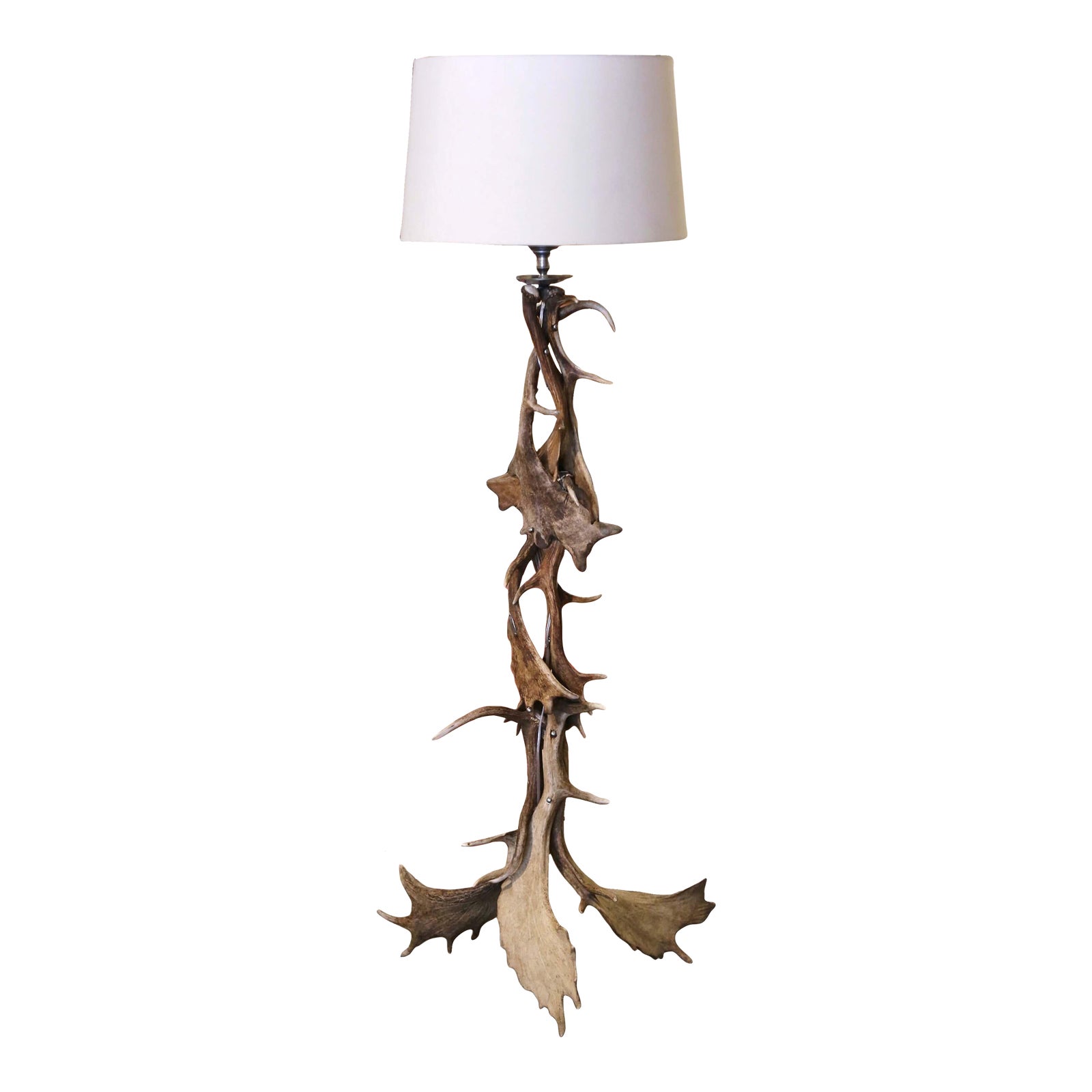 Midcentury French Moose Antler Floor Lamp | Chairish