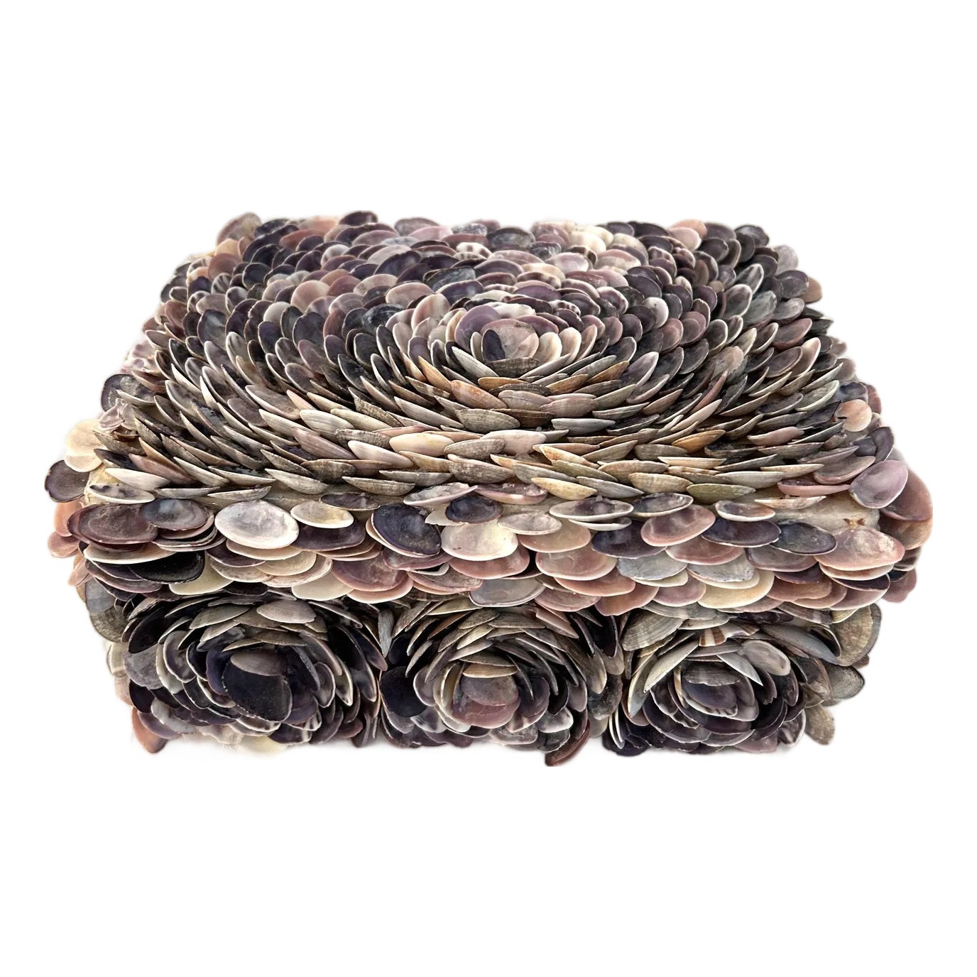 Coastal Lavender Cochina Shell Embellished Box | Chairish