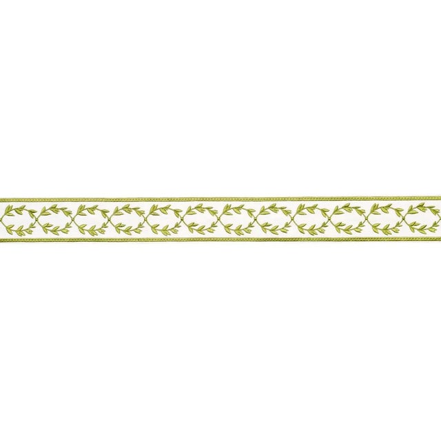 SAMPLE - Schumacher X Paloma Contreras Maison Vine Trim In Leaf | Chairish