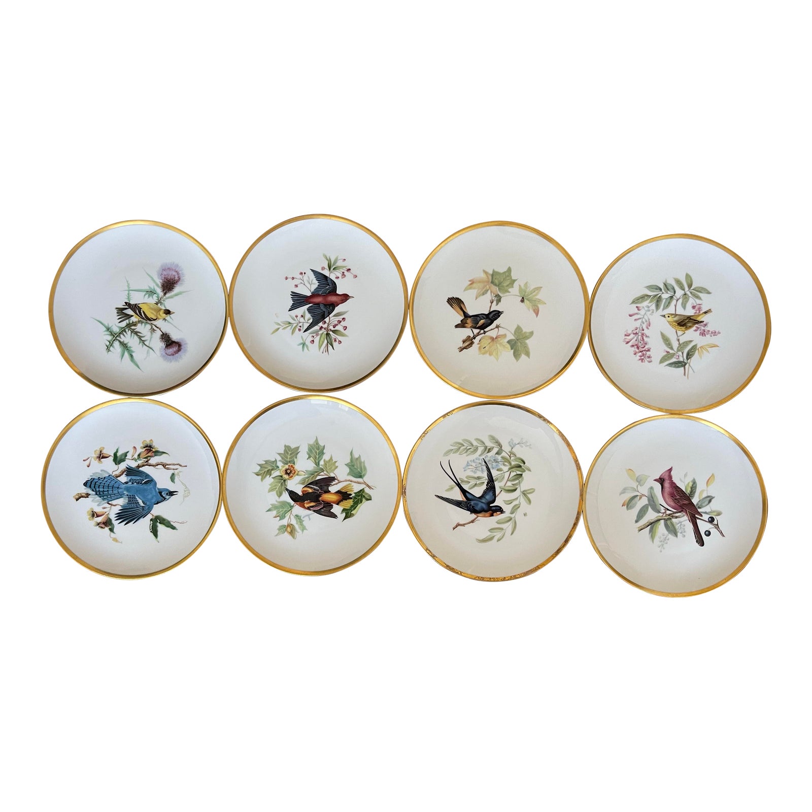 Set of 8 Stunning Mid-Century Audubon Birds Vintage Hutschenreuther ...