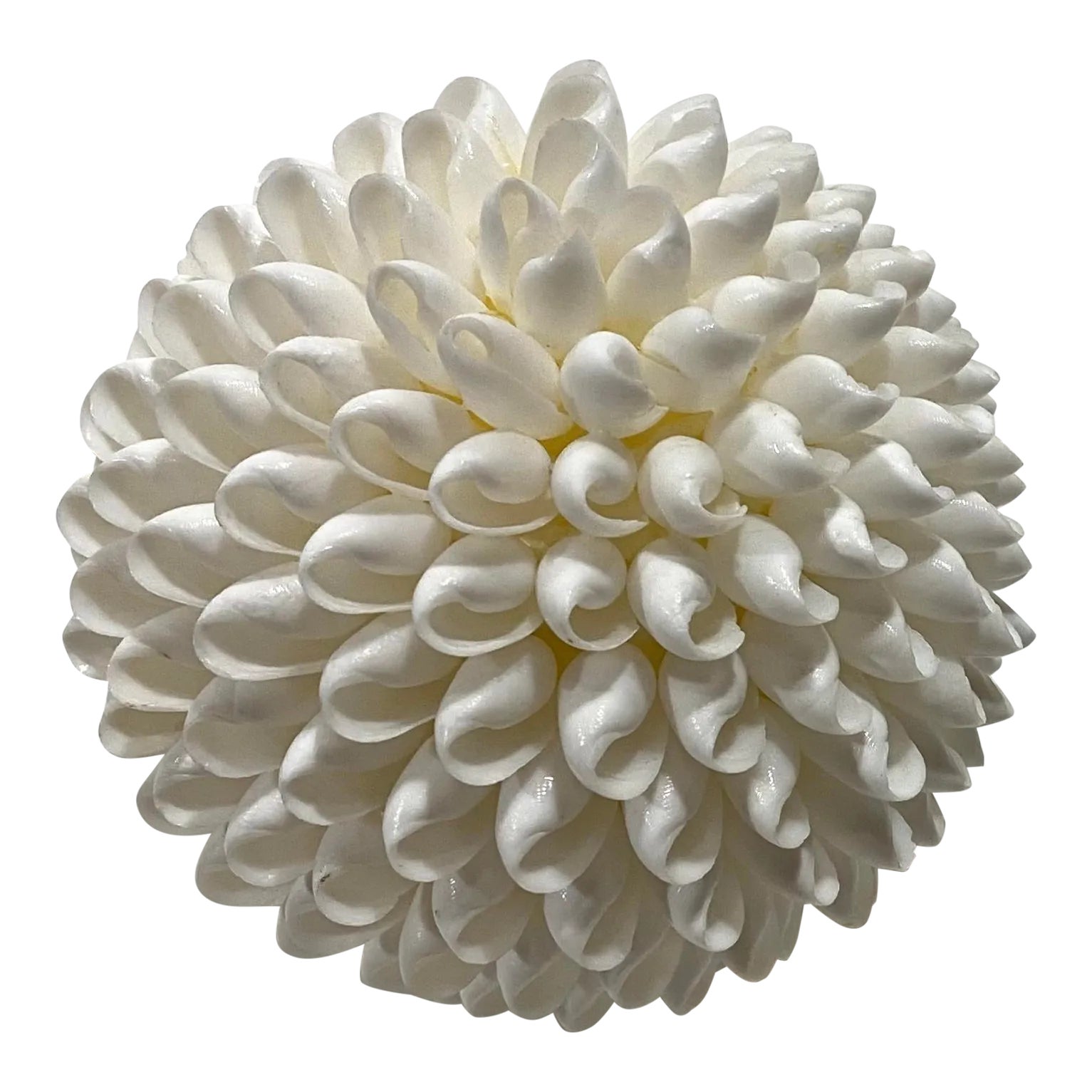 Vintage White Sea Shell Decorative Ball | Chairish