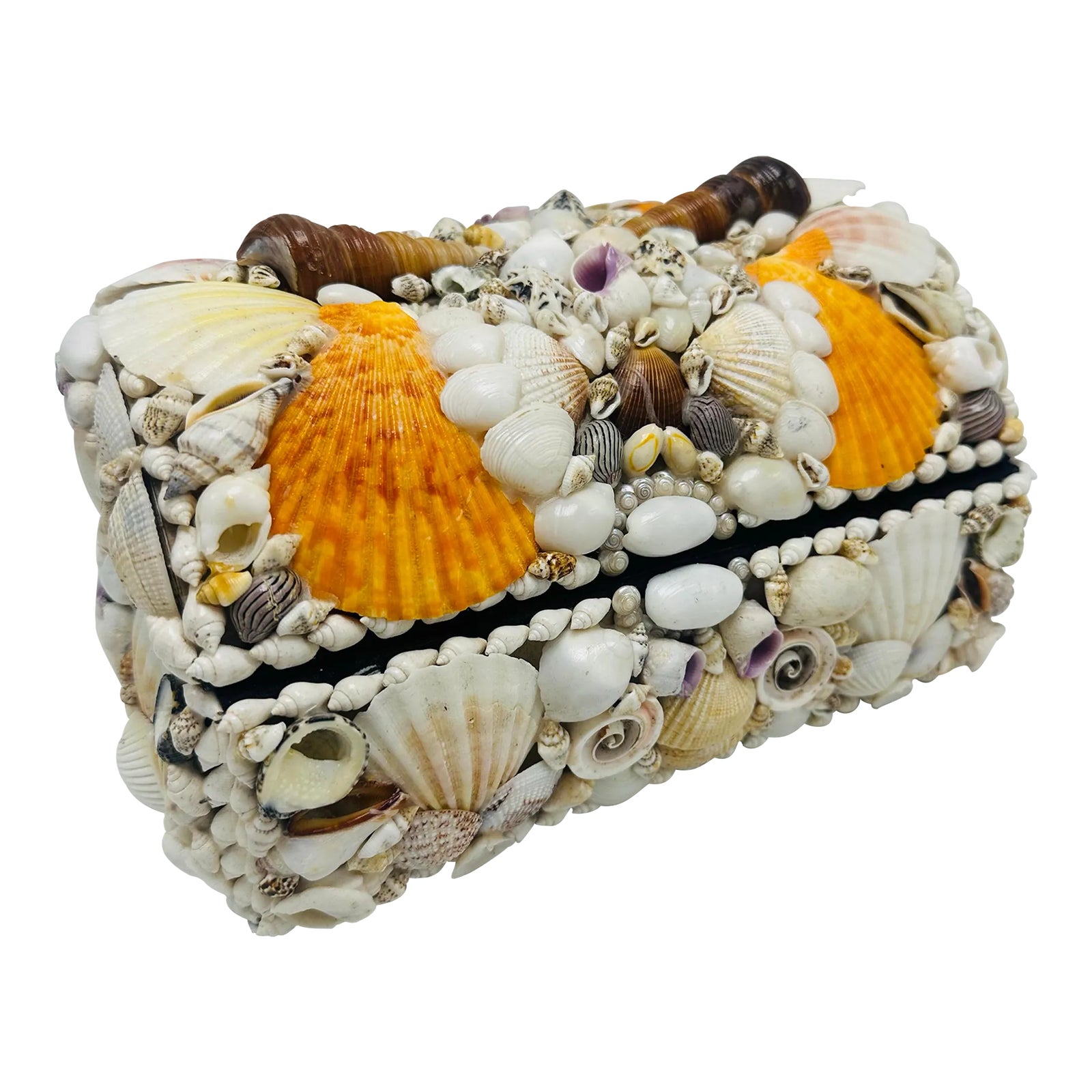 Vintage Domed Shell Box | Chairish