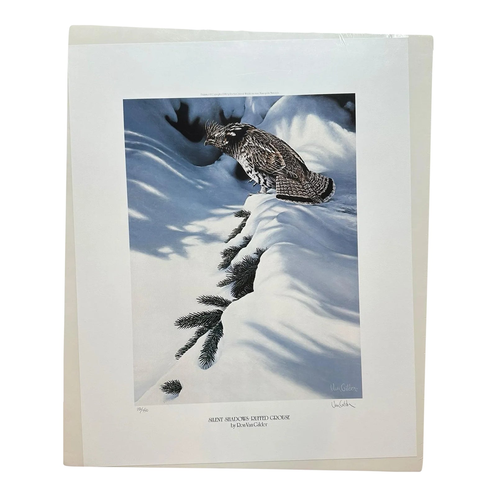 Signed Numbered Ron Van Gilder Limited Edition Color Lithograph Print ...