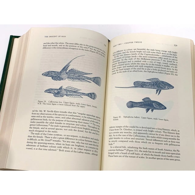 Charles Darwin's the Descent of Man, Franklin Library Book | Chairish