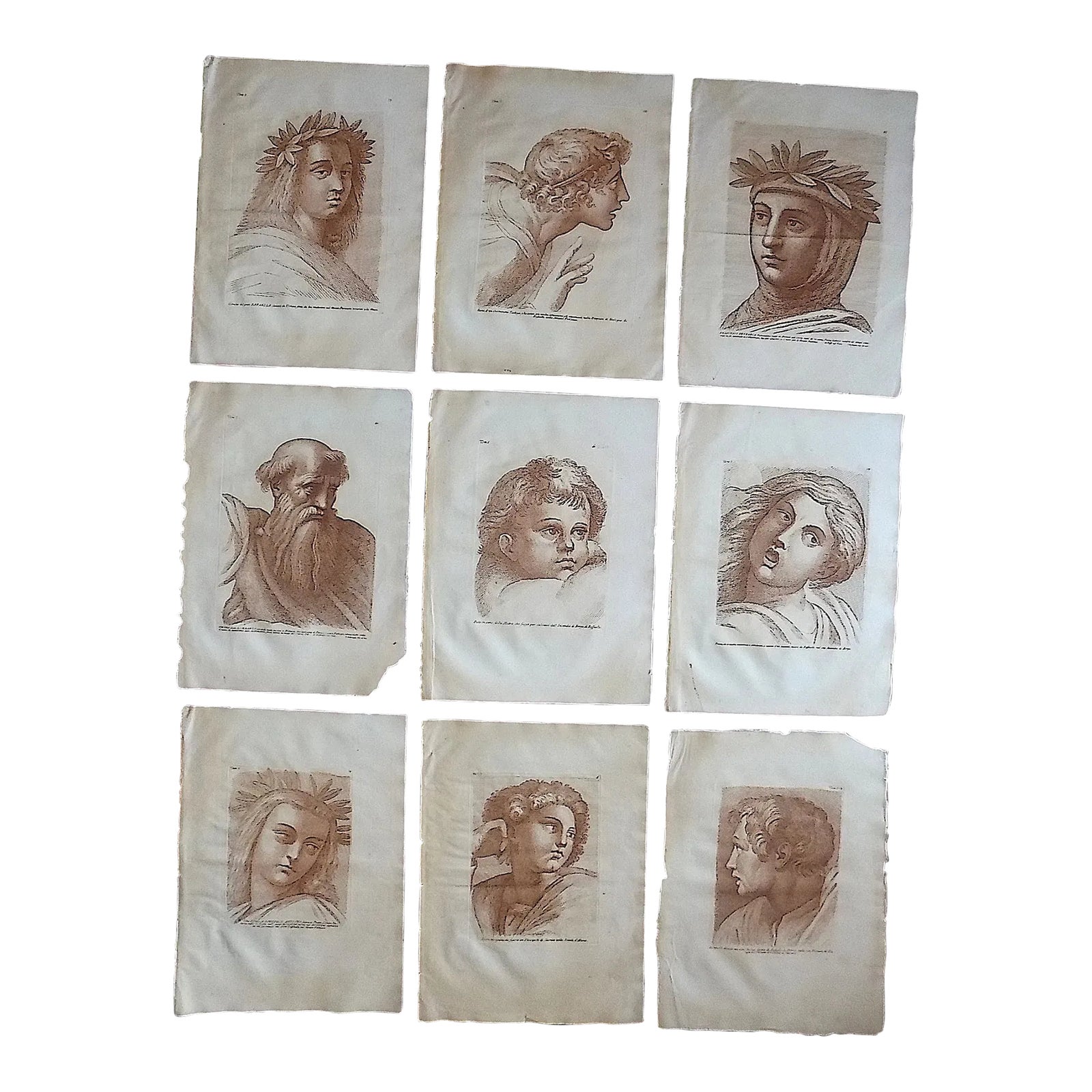 Authentic Antique 18th Century Elephant Folio Size Raphael Sepia ...