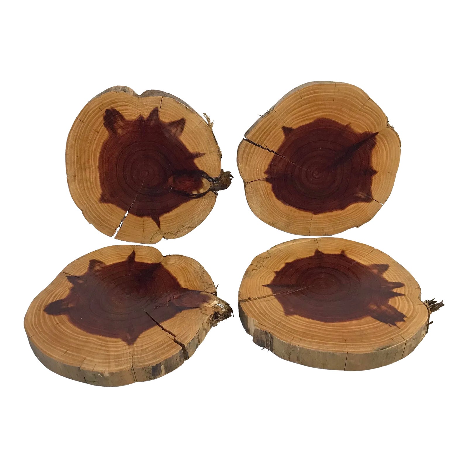 Vintage Live Edge Cedar Coasters | Chairish