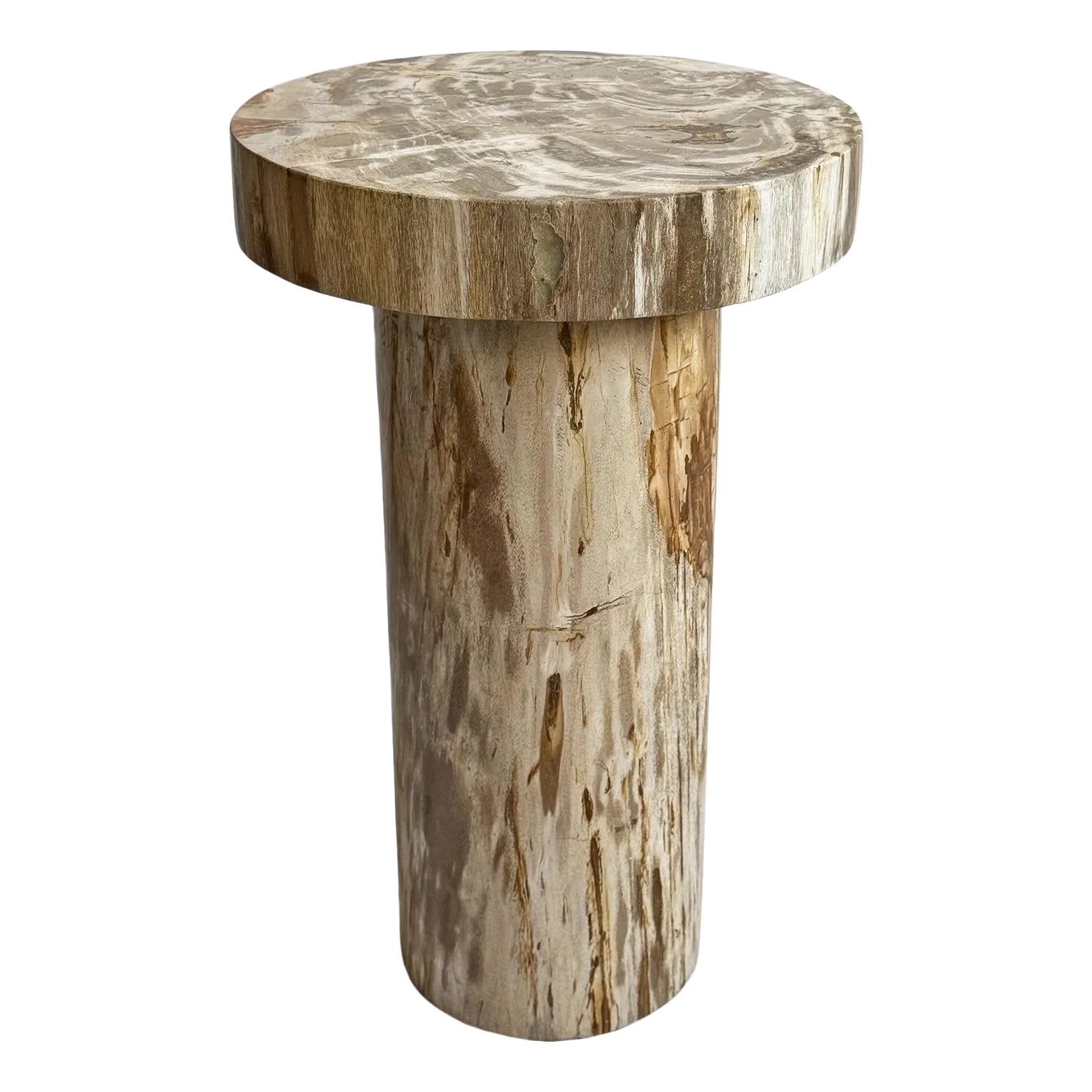 Petrified Wood Pillar Side Table | Chairish