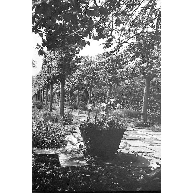 "The English Garden" Book 1966 Hyams, Edward | Chairish