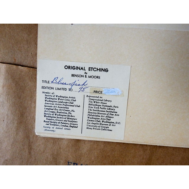 Late 20th Century Benson B. Moore Blue Fish Etching | Chairish