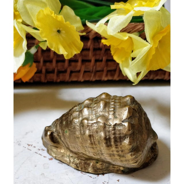 Vintage Brass Seashell Paperweight Nautical Office | Chairish
