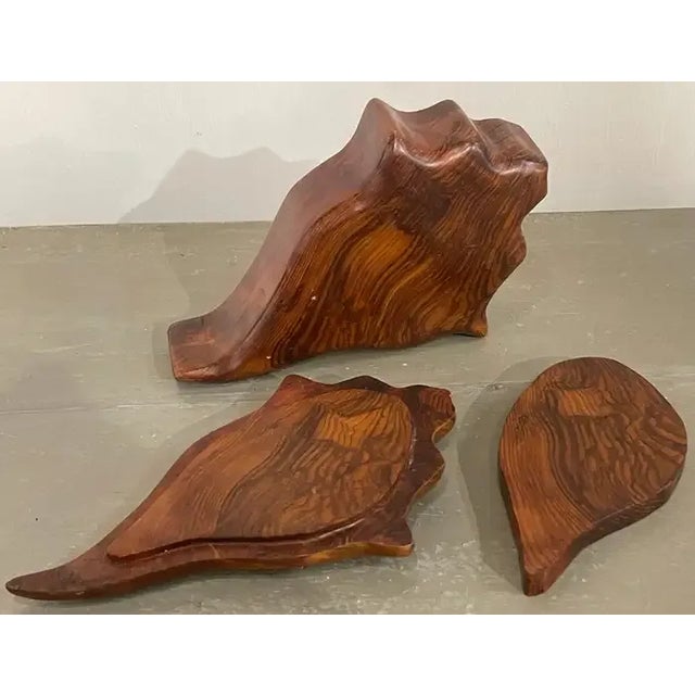 French Modern Specimen Hardwood Carved Conch Shell Motif Box | Chairish