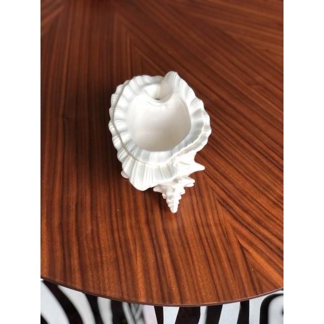 Vintage Ivory Conch Shell Cachepot Planter | Chairish