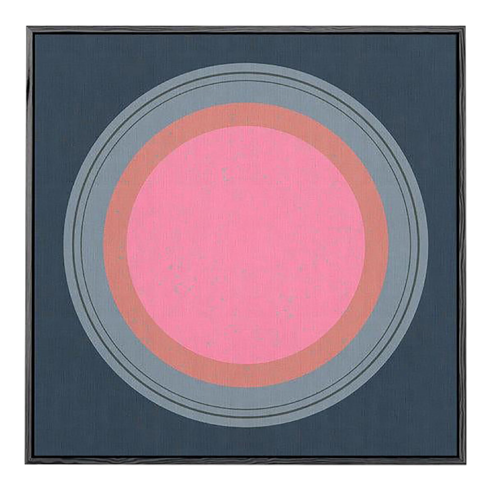 Floater Frame Circle XI - 20 X 20" | Chairish