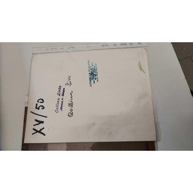 Eliano Fantuzzi, Untitled, Oil on Canvas, Framed | Chairish