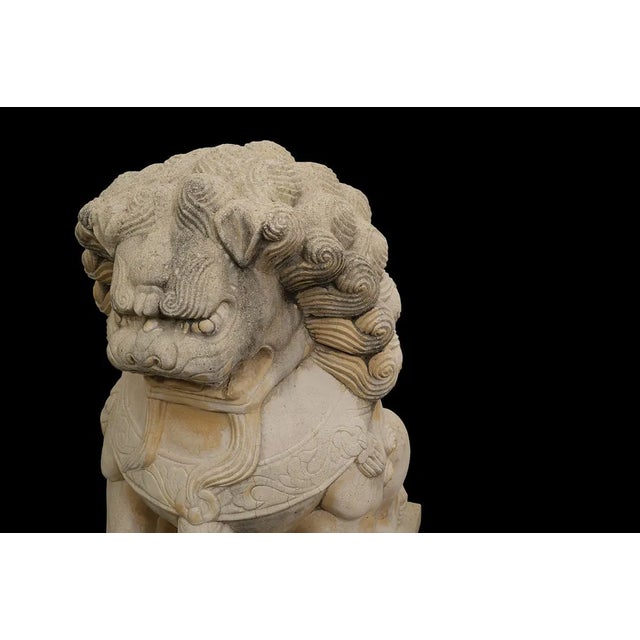 1970s Large Cement Garden Statuary Foo Dogs, A Pair | Chairish