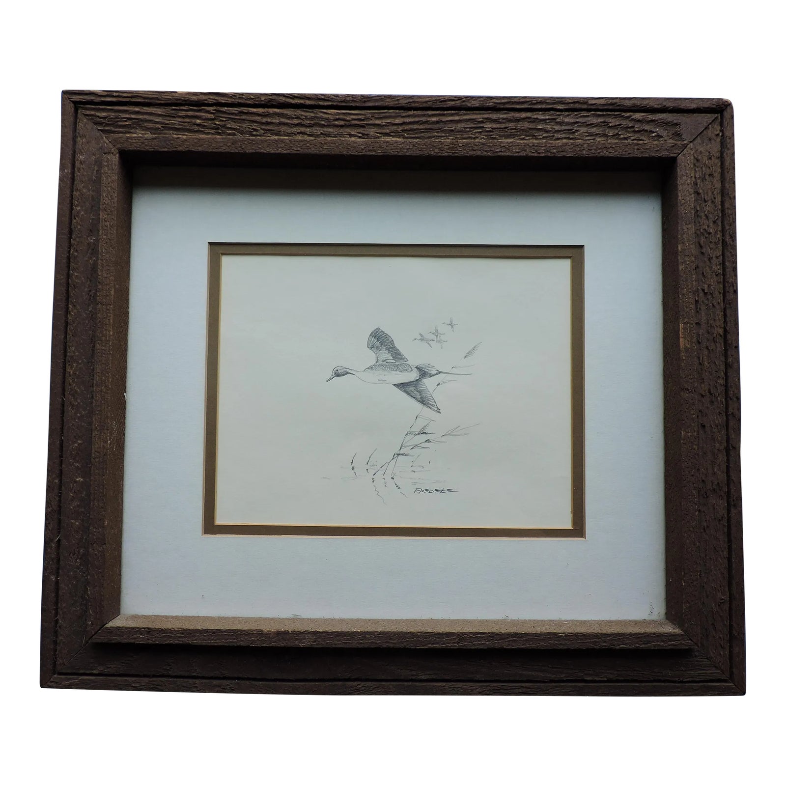 Original Hand Sketched Pencil Drawing by Jerry Raedeke Northern Pintail ...