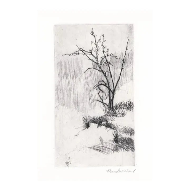 David Baird Landscape Etching | Chairish