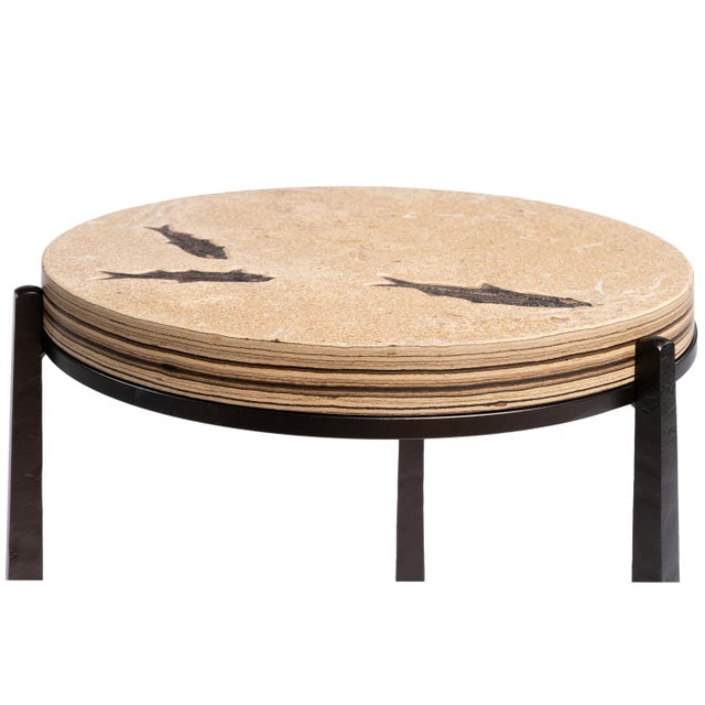 16" Round Fossil Drink Table 9308t | Chairish