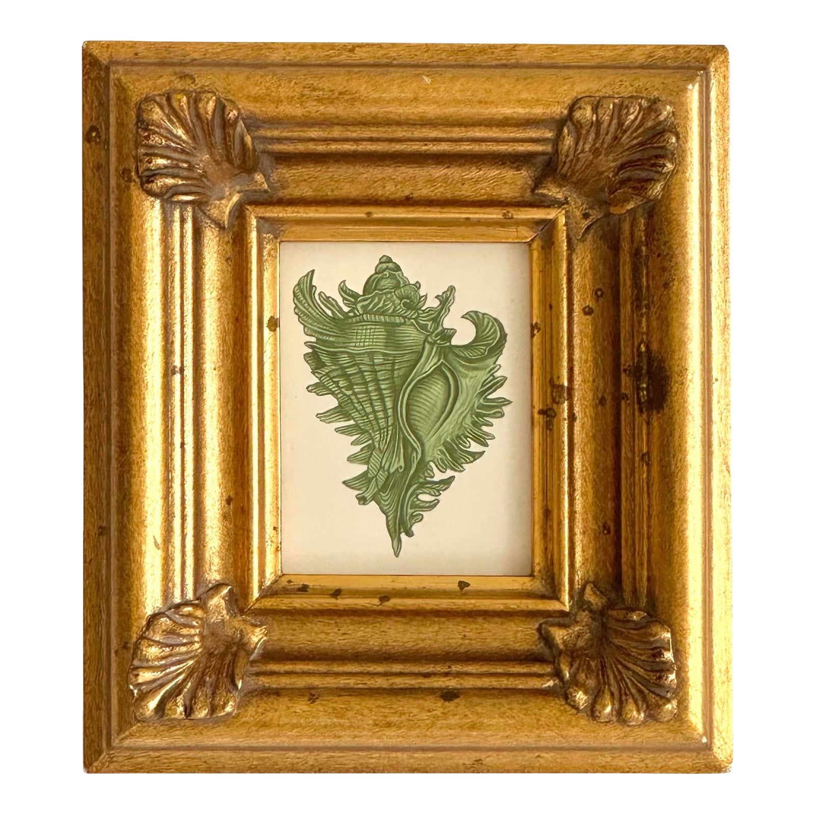 Original Hand-Painted Green Sea Shell Painting Framed in a Vintage ...