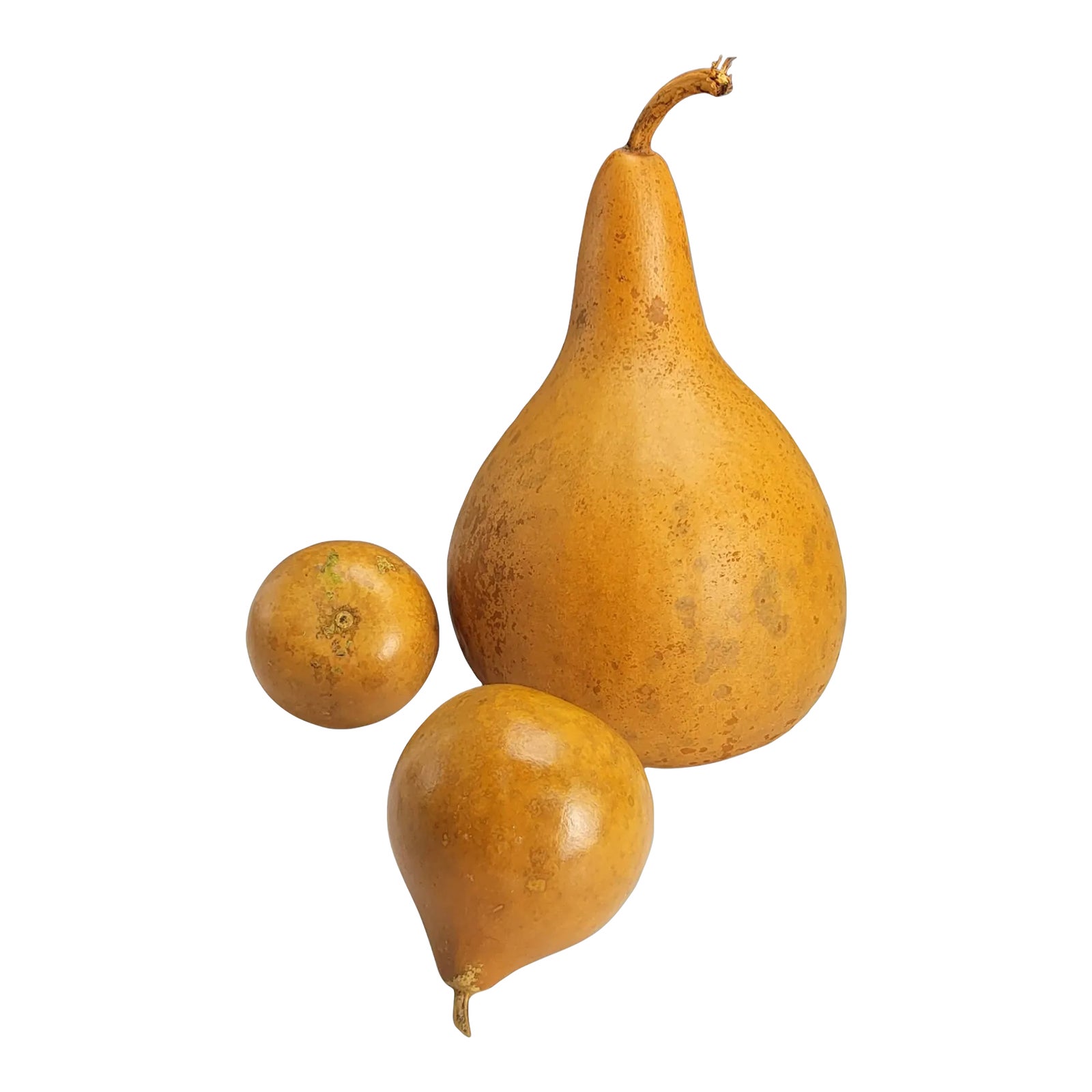 Vintage 1980's Mixed Shape Natural Gourds Set of 3 | Chairish