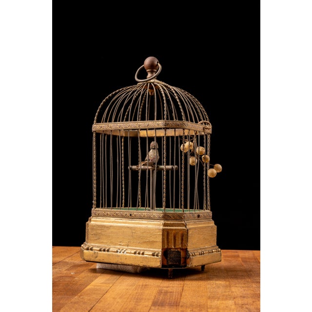 19th Century Functioning Singing Bird Automaton | Chairish